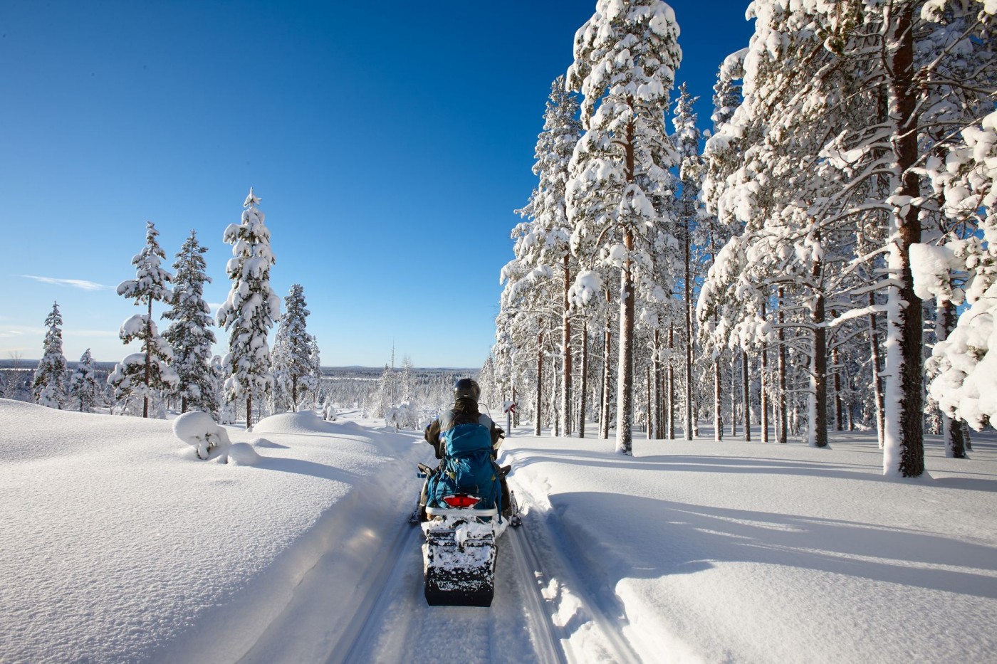 Avventure sulle Nevi in Motoslitta
